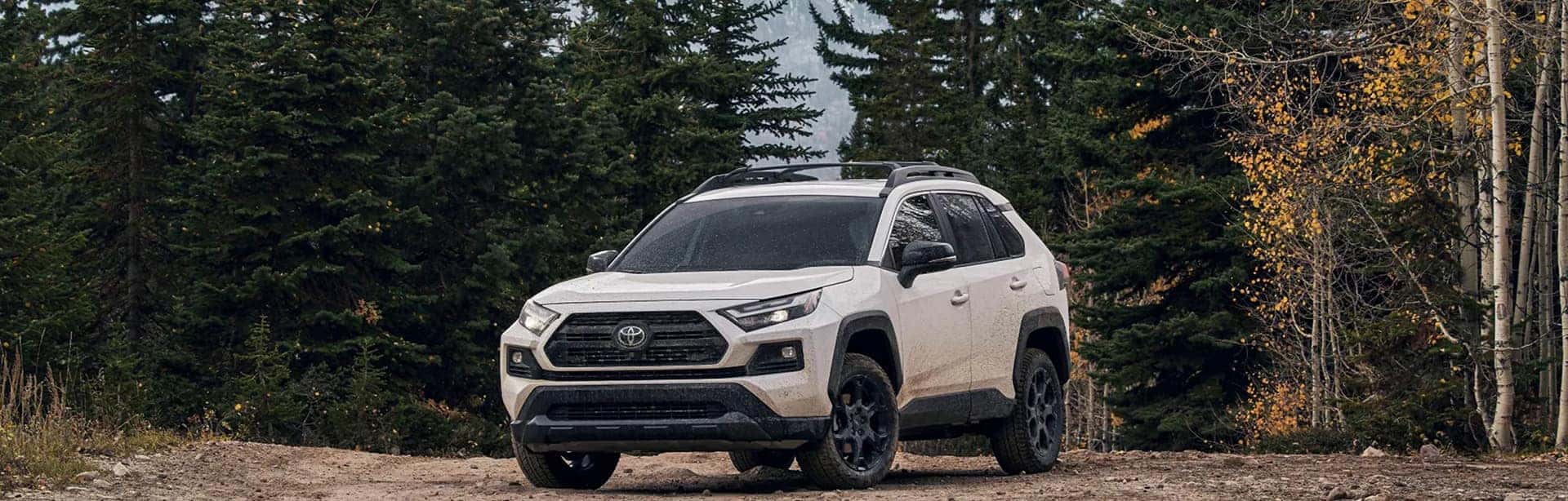 See the 2022 Toyota RAV4 in Birmingham, AL | Features Review